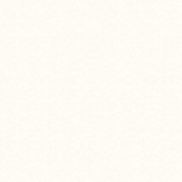 Panneau mélaminé Egger hydrofuge W908 ST2 38mm 3050x2070mm 1 face Blanc ...